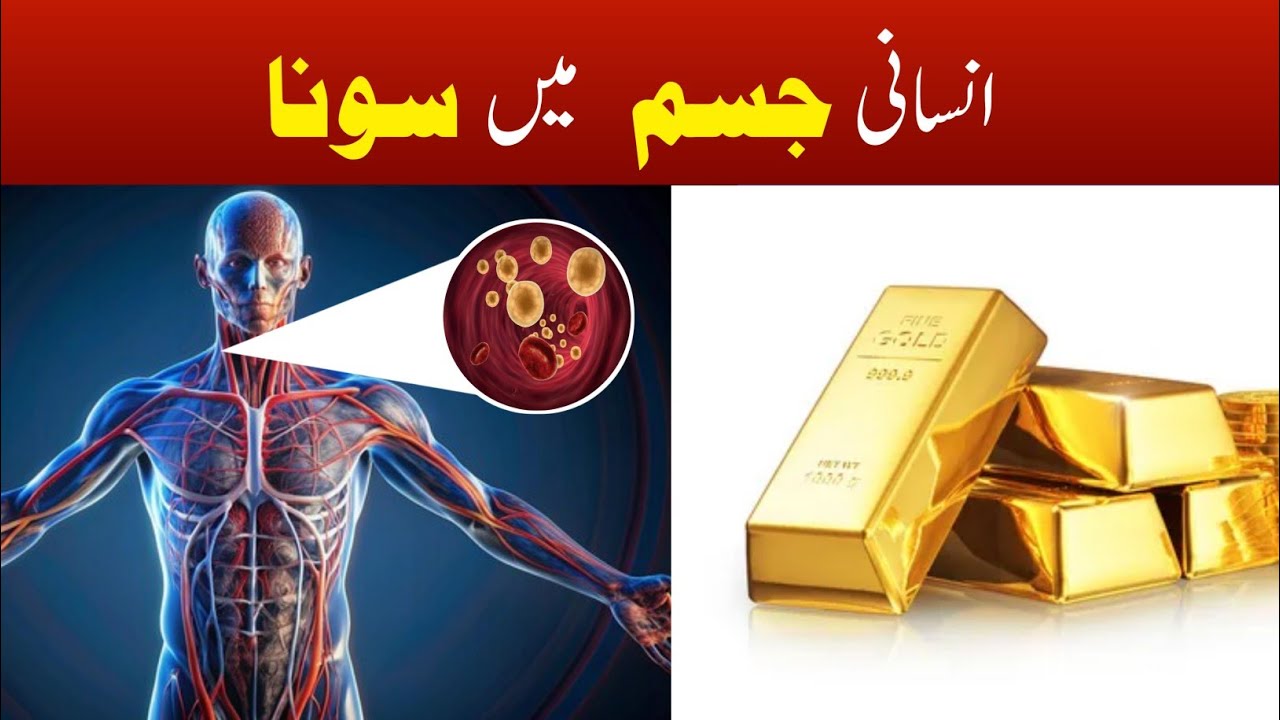 Insaan ki Jisam mai Sona | Gold in Humman Body - YouTube