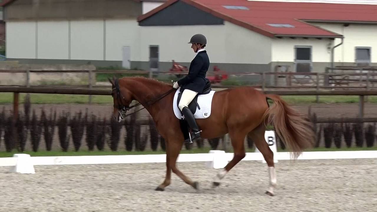 Doris Görtz und Lord of the Dance - Dressurprüfung Kl. M** - YouTube