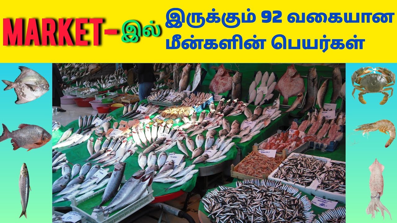 Fish Name in Tamil | 92 வகையான மீன்களின் பெயர்கள் | தமிழ் & English ...