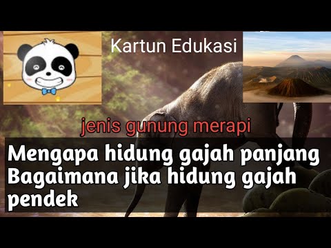 Kartun Edukasi Kenapa Gajah Belalai Panjang dan Jenis gunung merapi ...