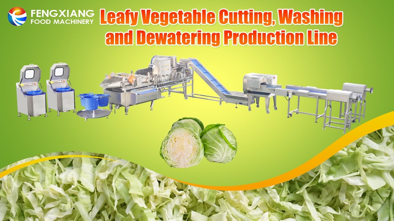 Automatic Cabbage Processing Line | Coring, Shredding, Washing ...
