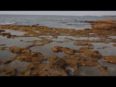 Ben Artık Seni Sevmekten Yoruldum
