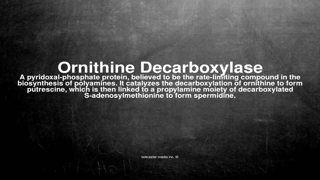 Medical vocabulary: What does Ornithine Decarboxylase mean - YouTube