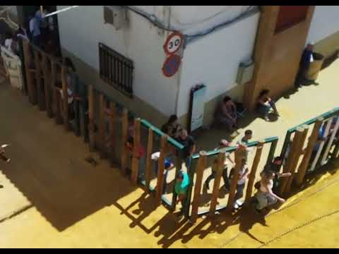 cogida en beas de segura ,san marcos 2023