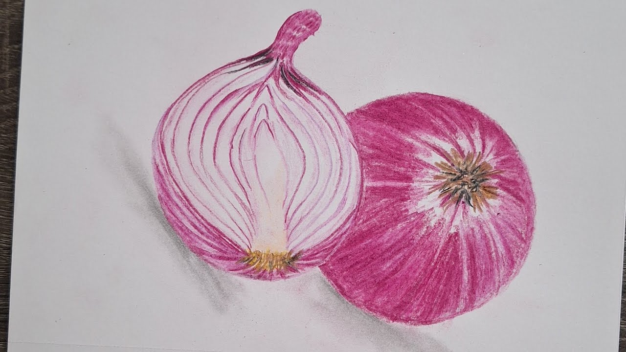 How to draw a realistic onion 🌰 Part 1|step-by-step tutorials |easy ...