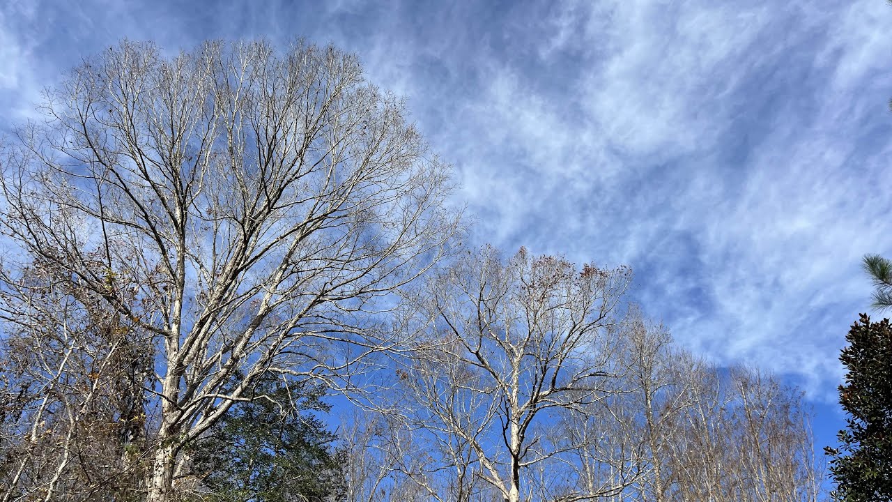 Day 2364 Tesla Ruby Keeping America Beautiful - YouTube