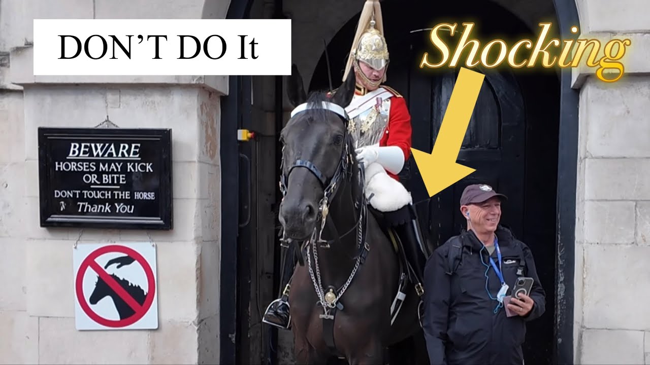 DISRESPECTFUL TOURISTS PROVOKED AND MESSED THE WRONG KING’S GUARD And ...