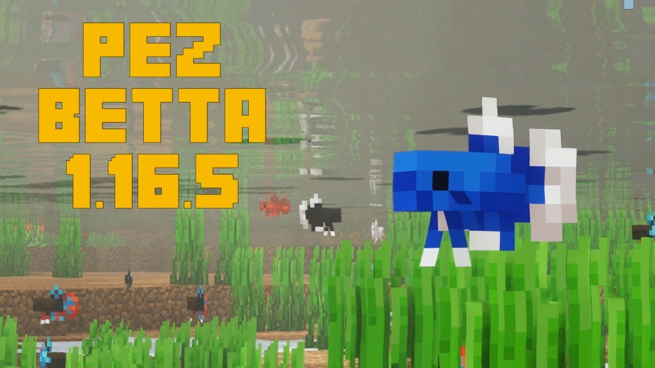 Pez Betta - Bettas 1.16.5 - Mod Review - YouTube
