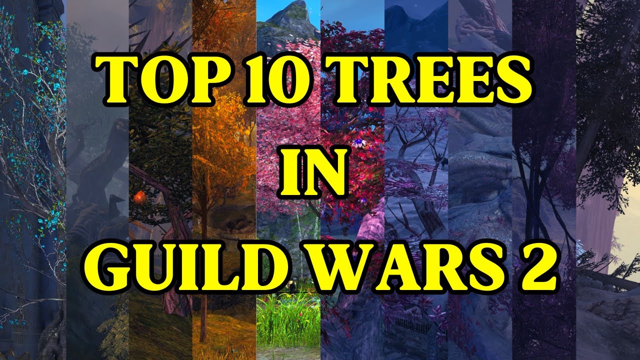 Pointless Top 10 Trees In Guild Wars 2 YouTube pointless-top-10-trees-in-guild-wars-2-youtube