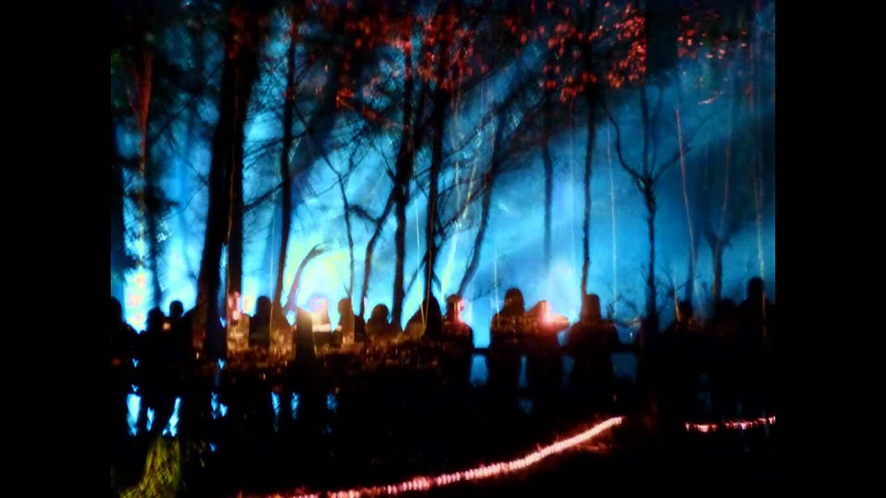 The Enchanted Forest, Faskally Wood. - YouTube