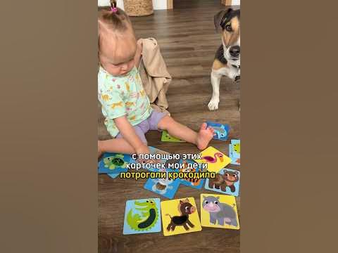 Крутые развивающие карточки для детей 👍🏻. Артикулы на ВБ 21356039 - YouTube