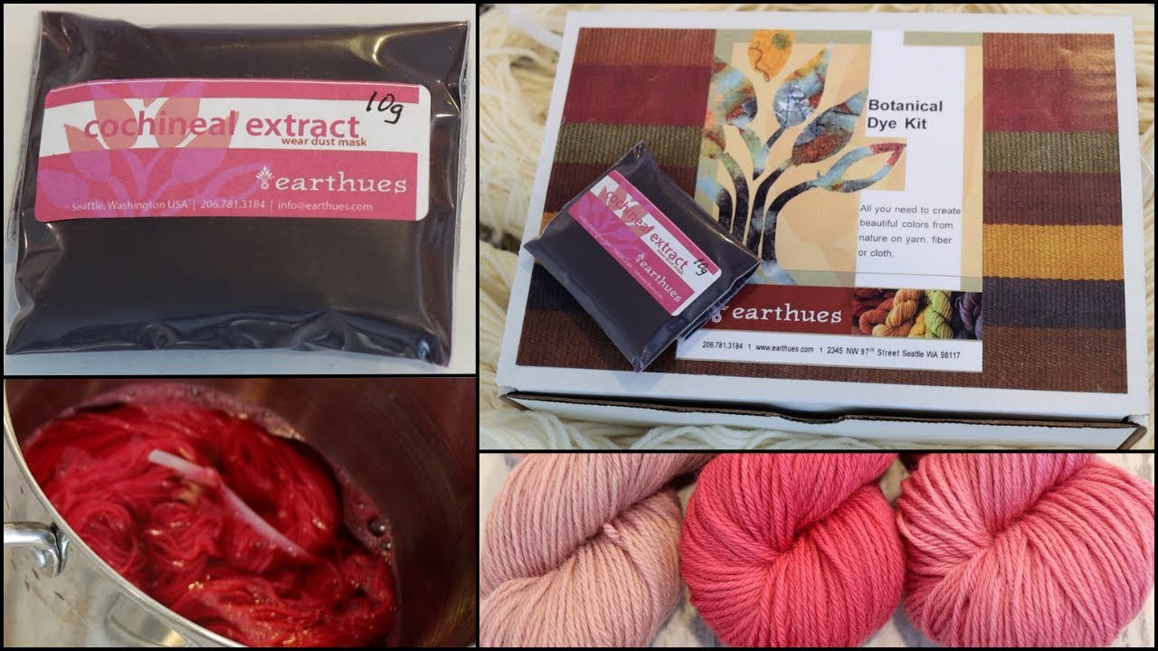 Dyeing Wool Yarn with Cochineal Extract; Shifting the Hue w/ Iron ...