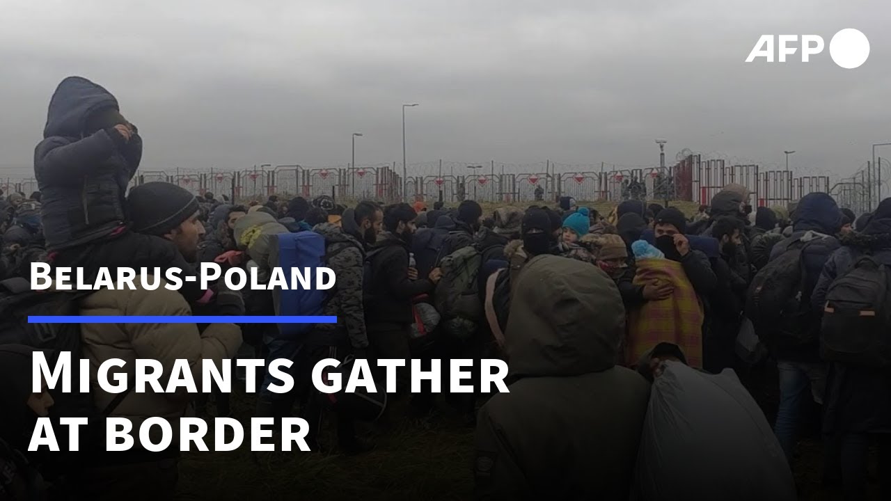 Dozens of migrants arrive and wait at the Belarus-Poland border ...