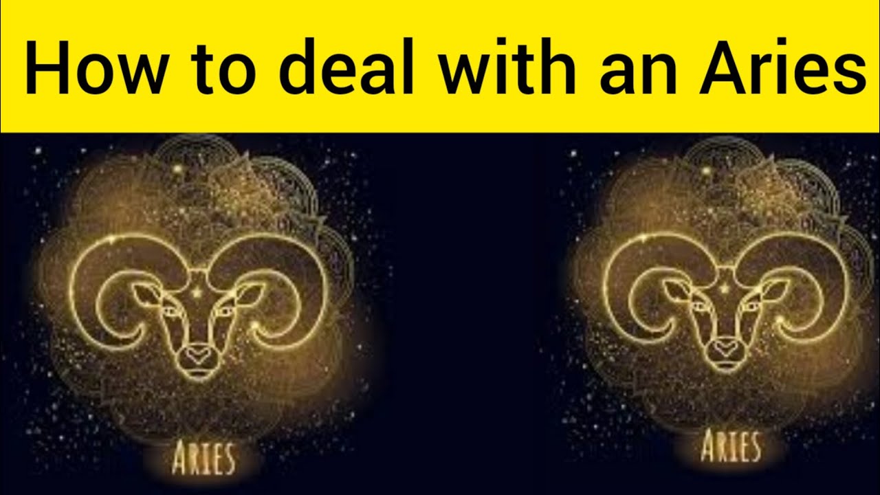 Dealing with an Aries: Tips for Understanding and Communicating with ...