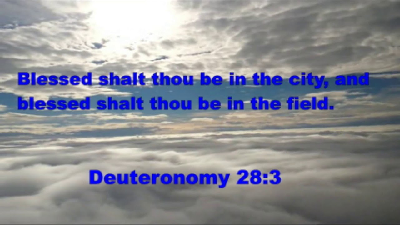 Deuteronomy 28:3 - YouTube
