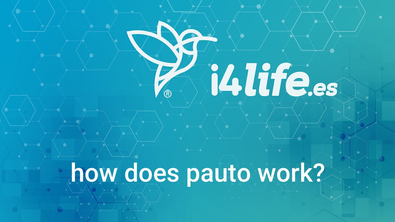 how does pauto work? - YouTube