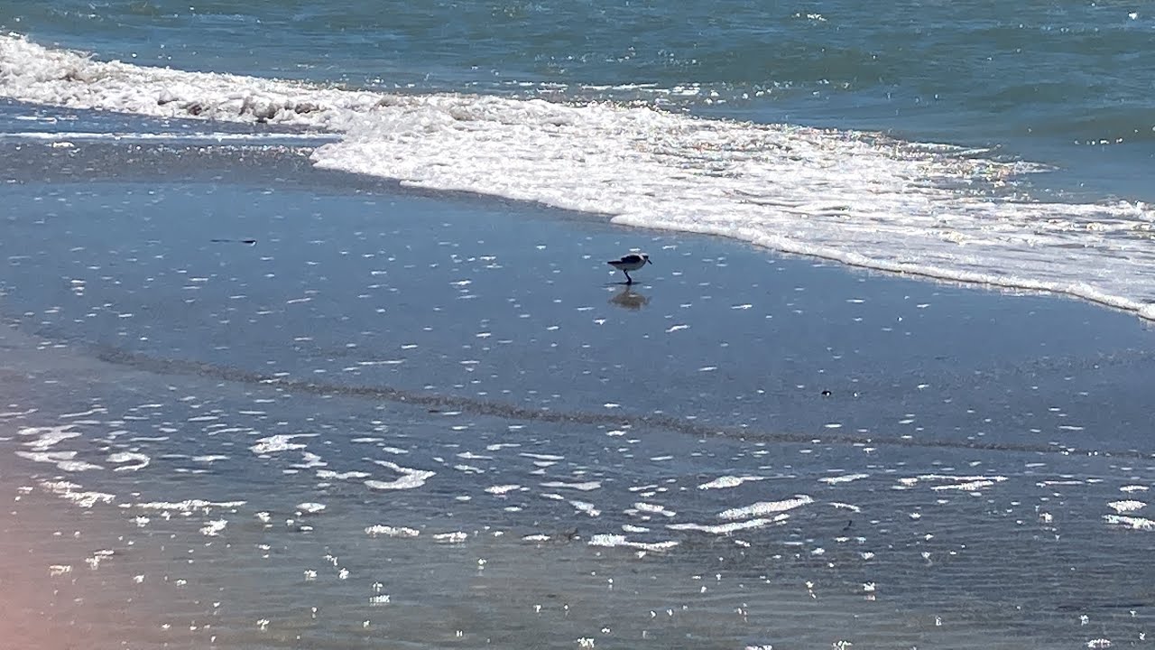 The Beach Savers - Bloopers - YouTube