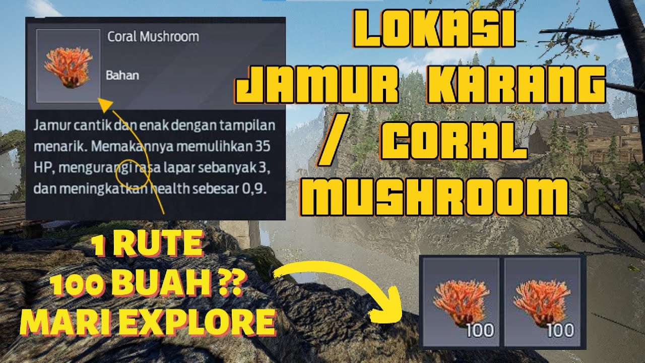 UNDAWN LOKASI JAMUR KARANG / CORAL MUSHROOM - YouTube