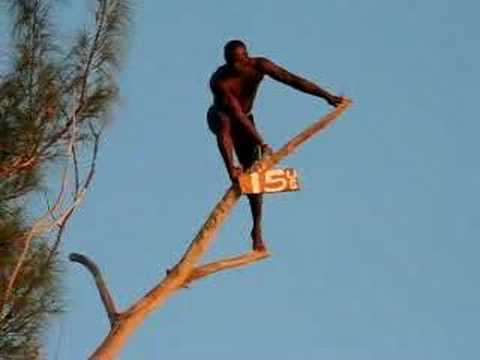 Crazy man Jump of tree - YouTube