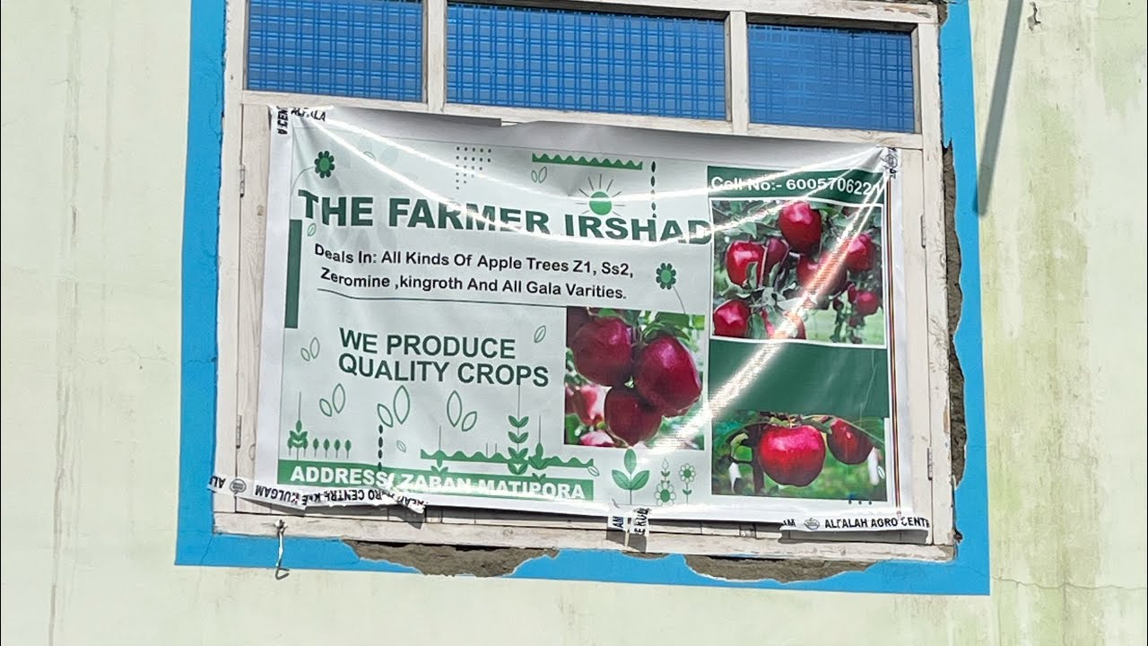 Packing of Washington apples/ booking available 6005706221 - YouTube