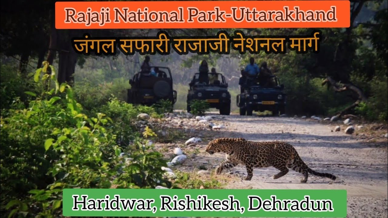 Rajaji National Park Chillawali | Rajaji National Park Mohand Range ...