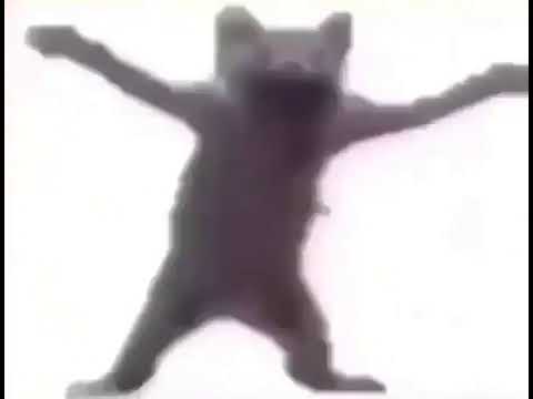 cat hitting the woah - YouTube