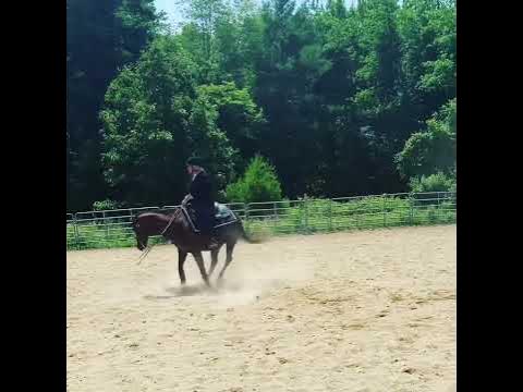 Reining horse spinning - YouTube