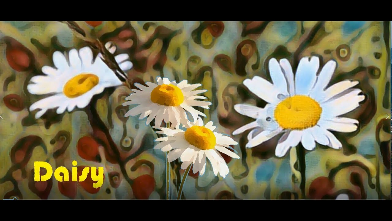 Daisy by CB Quills 1 - YouTube