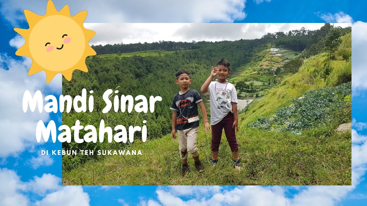 Mandi Sinar Matahari di Kebun Teh Sukawana Lembang, bersama Ardo dan ...