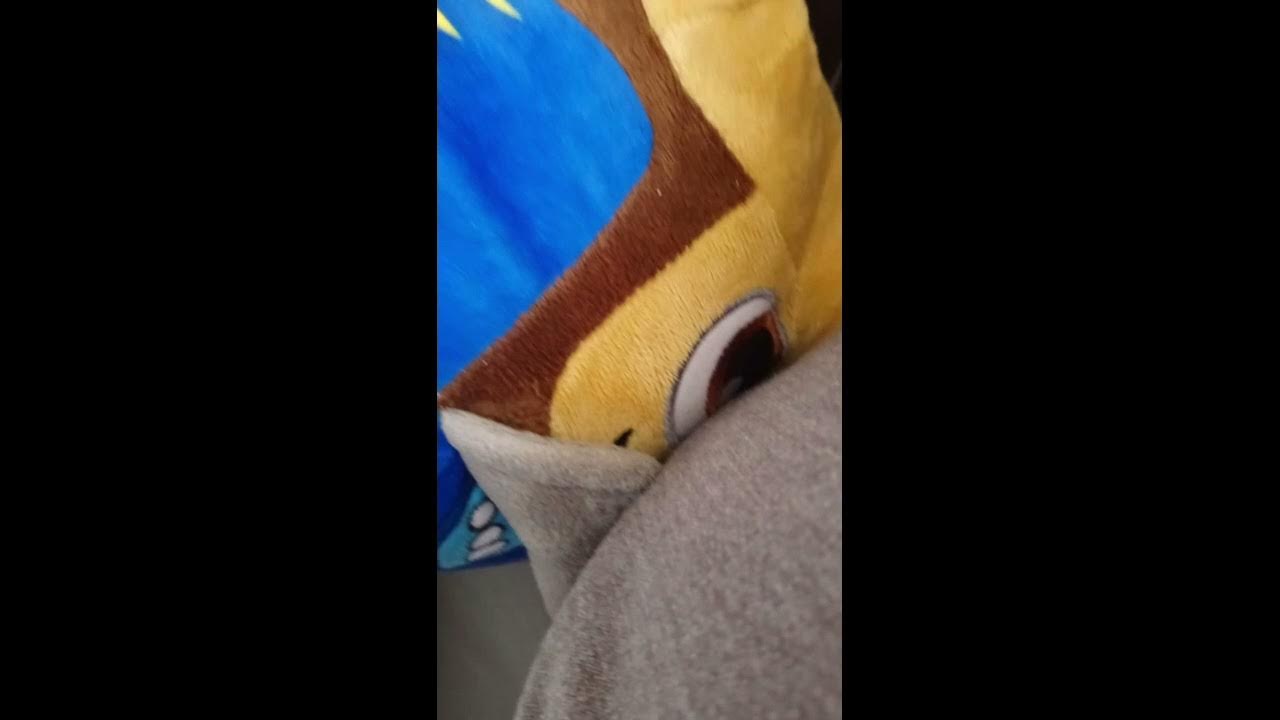 New Paw Patrol Plush Chase Face Farting Youtube