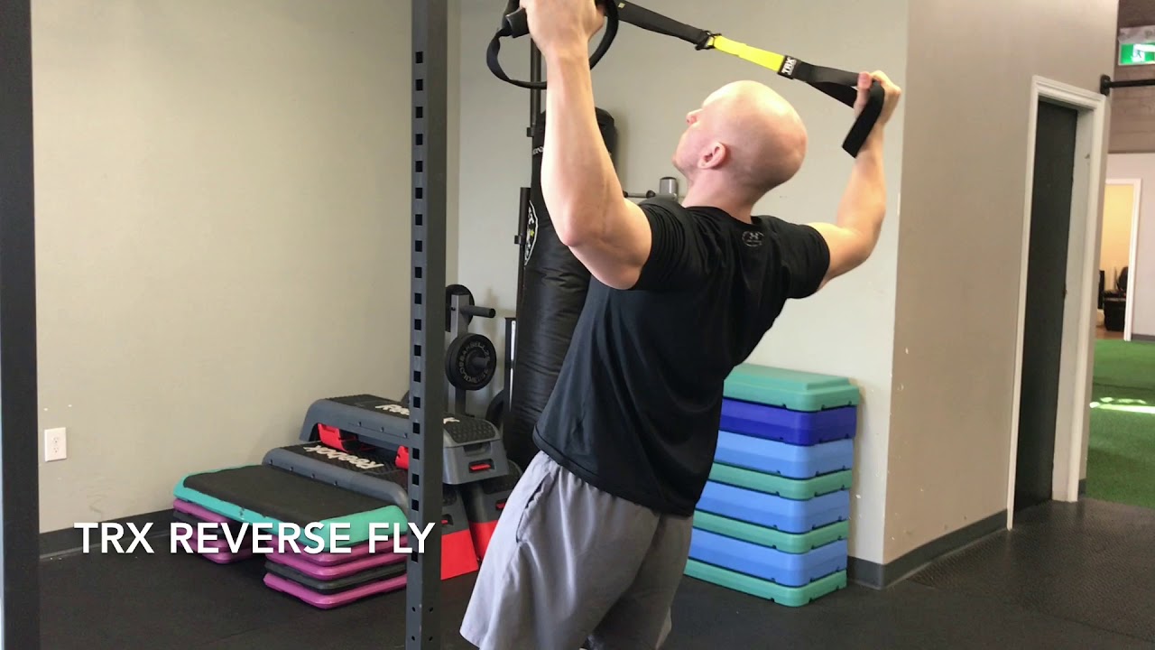 TRX Reverse Fly - YouTube