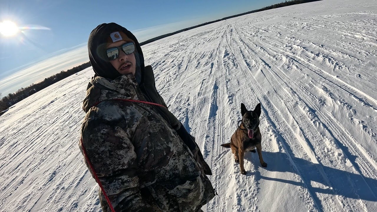 First Time Ice Fishing with Dshka the K9 Dog – Total Chaos! 😂🎣 - YouTube