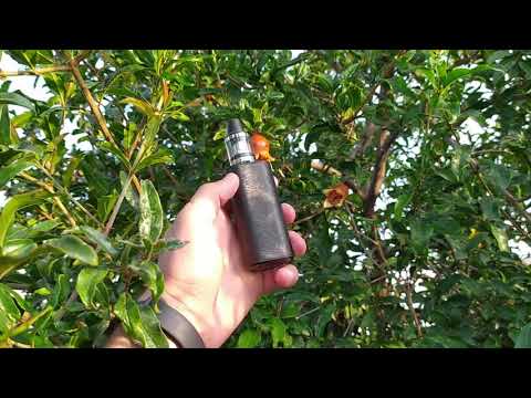 Elektron qəlyan və vapelərin satışı  jacobs 80 modeli