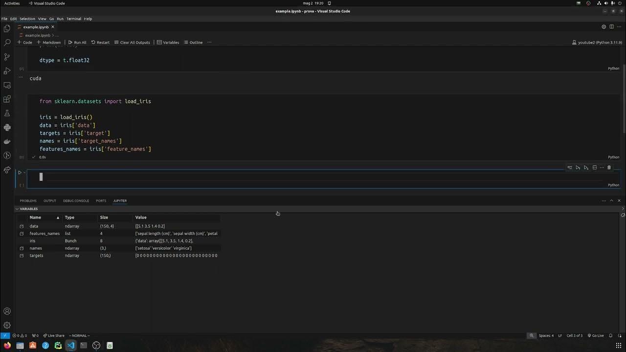 La Mia Prima Rete Neurale - PyTorch - Iris Dataset - YouTube