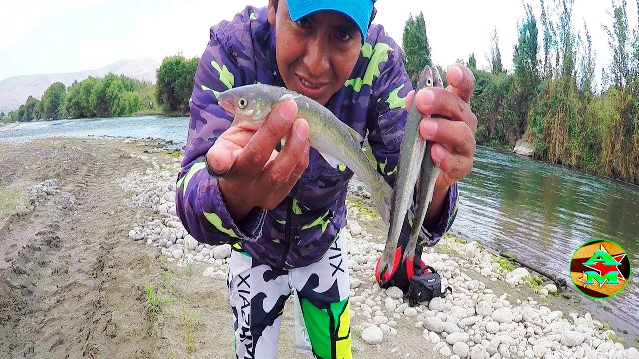 Pesca De Pejerrey En Río | Pesca Pejerrey - YouTube