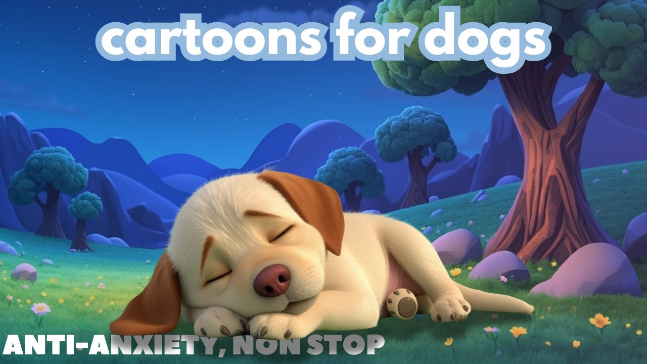 🐾 Non Stop LIVE Calming Cartoons for Dogs to Watch, in Colors they see ...