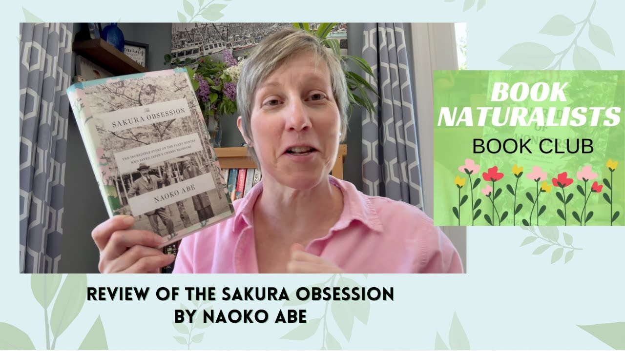 Review of The Sakura Obsession by Naoko Abe - YouTube