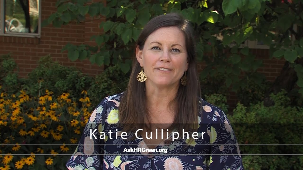 Chesapeake Weekly, Keeping our City Clean and Green - YouTube