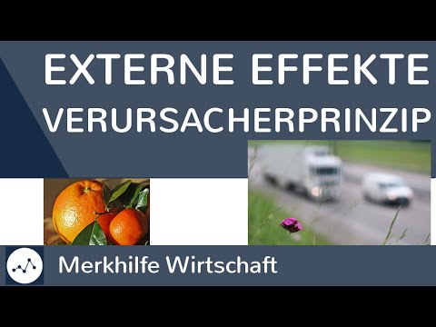Externe Effekte & Verursacherprinzip einfach erklärt - Positiver ...