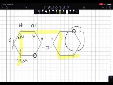 Structure of Macromolecules Drawing - YouTube