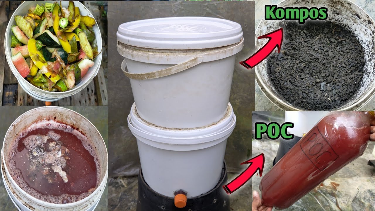 cara membuat pupuk kompos dari sampah rumah tangga | kompos padat ...