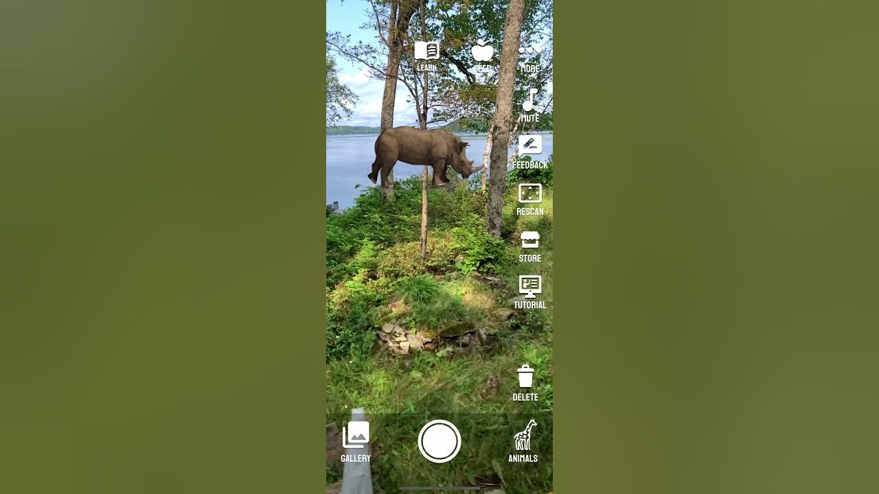 Animal Safari AR app - YouTube