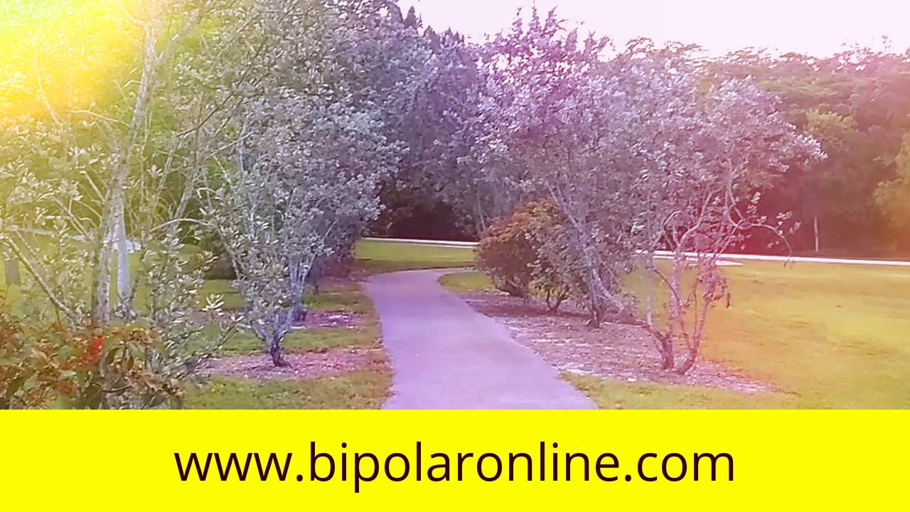 Bipolar Hope Blake LeVine Educational Talk - YouTube