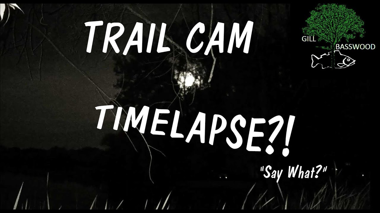 Trail Cam - Time lapse - YouTube
