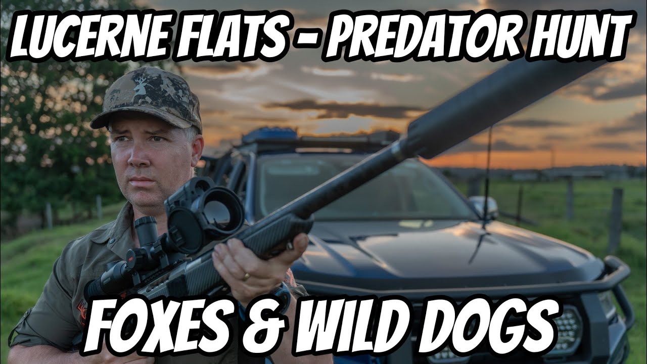 EDGE of the OUTBACK Predator Hunt || Pulsar Thermal + 6BR in Action ...