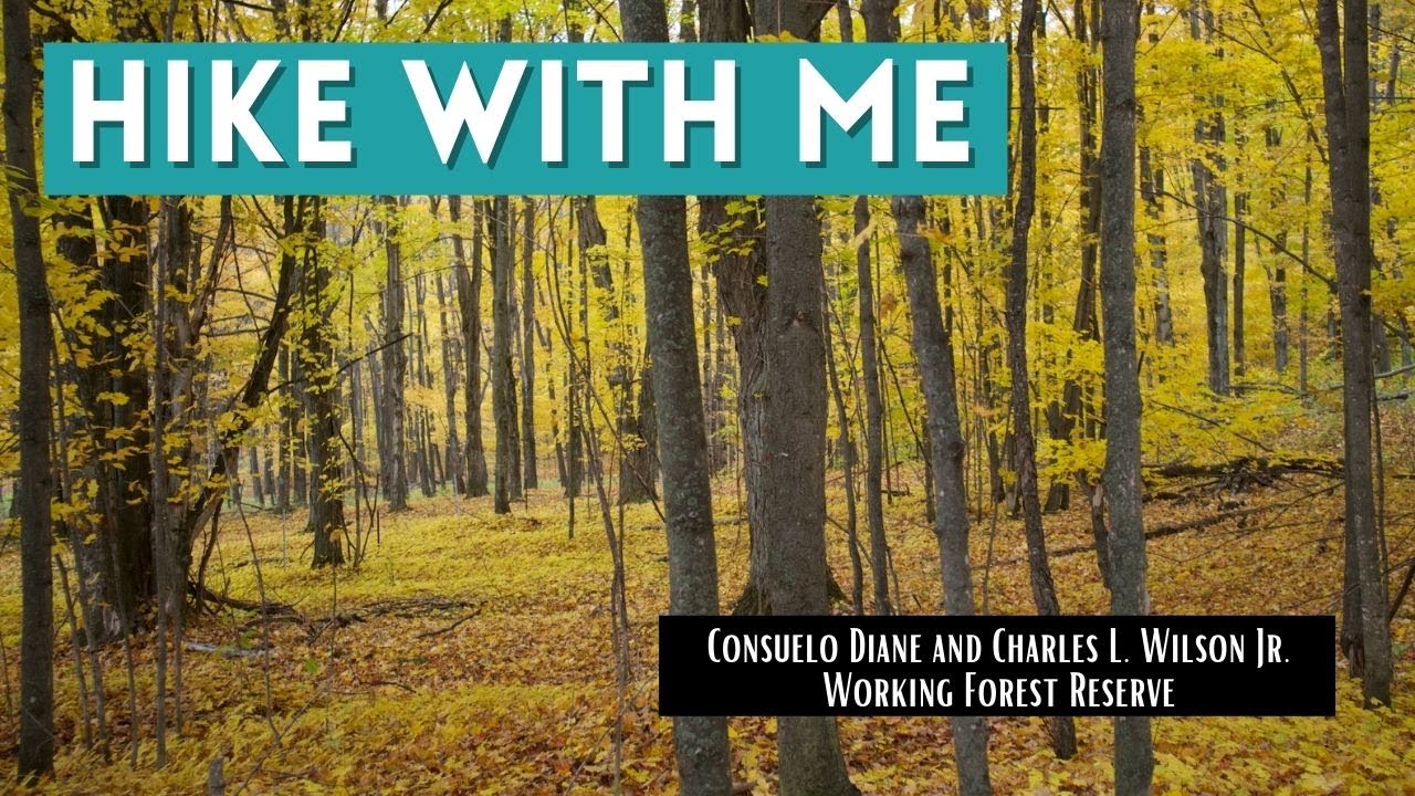 HIKE WITH ME - Consuelo Diane and Charles L. Wilson Jr. Working Forest ...