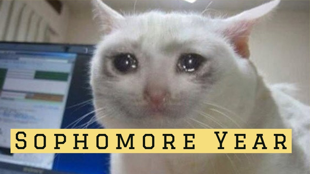 sophomore year as memes - YouTube
