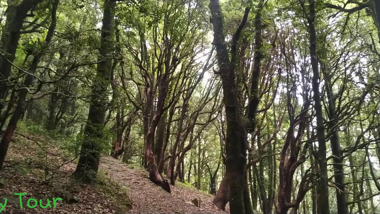 Pandukholi Trek, a trek into the divine aura of Mahavatar Babaji Cave ...
