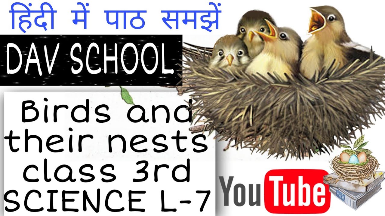 Birds and their nests class 3rd Dav public scool lesson 7 hindi ...