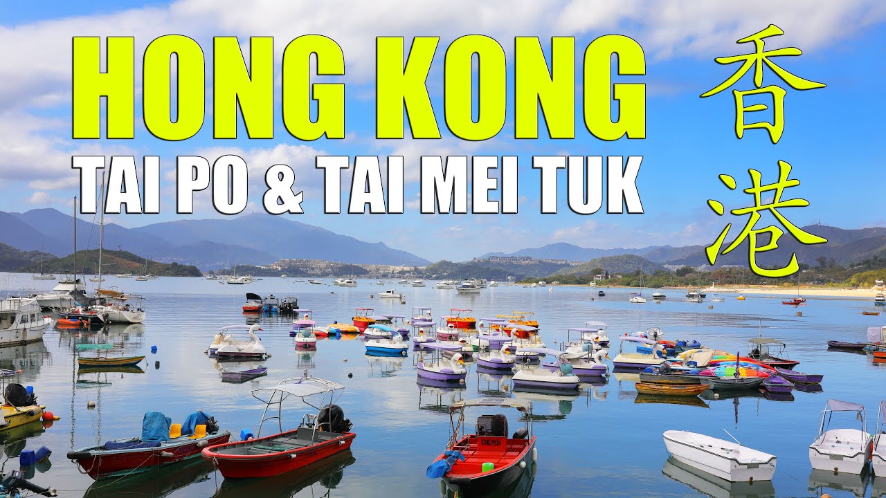 [4K][HD] Exploring HONG KONG Tai Po: The Hidden Gems of Tai Mei Tuk ...